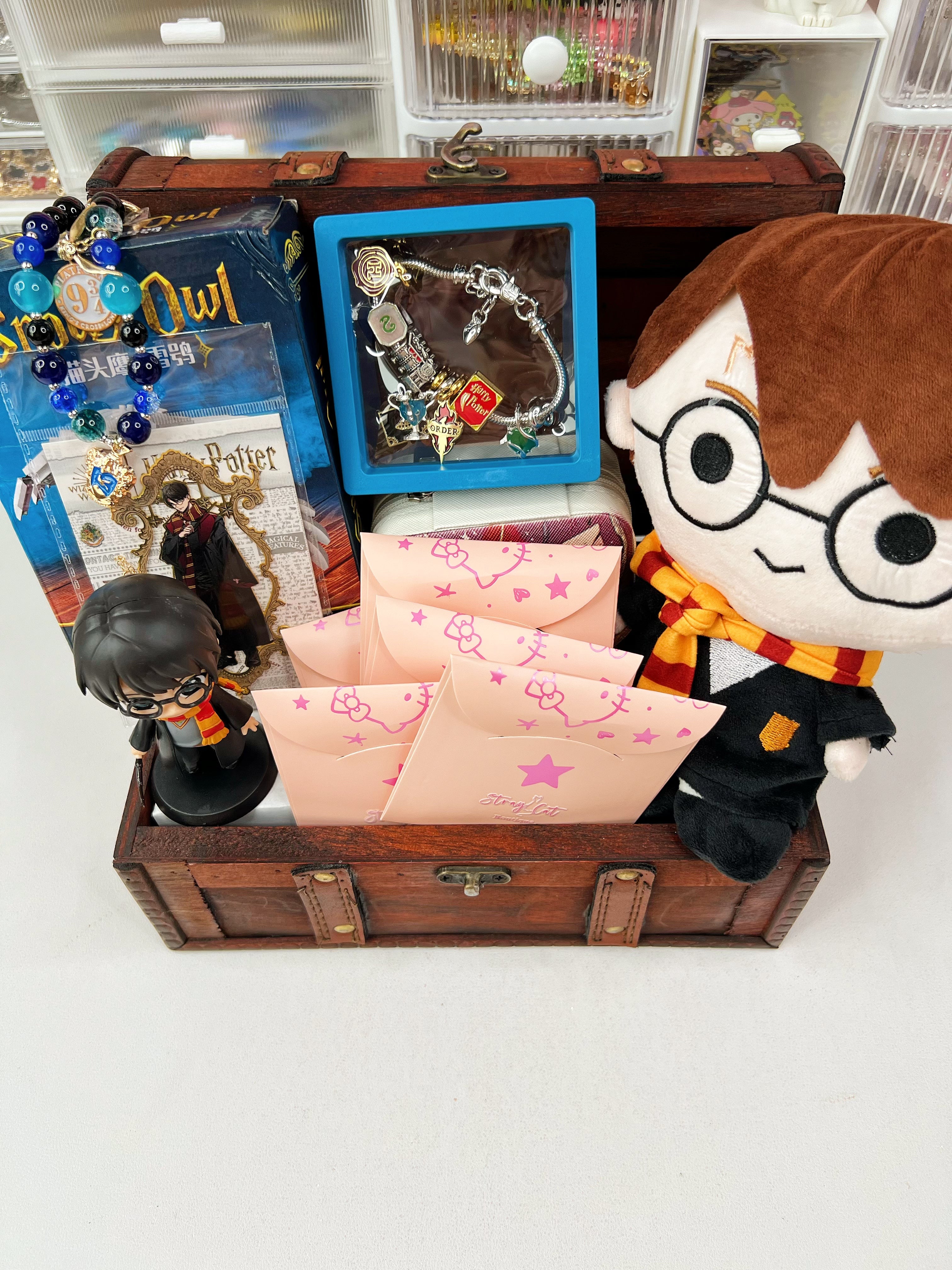 HP Theme Mystery Gift Box – StrayCatboutique